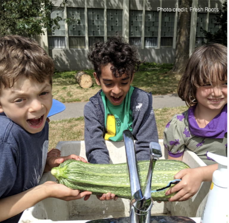 Healthy School Food – Food Secure Canada