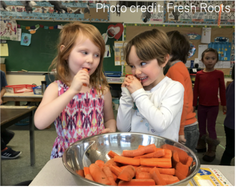 Healthy School Food – Food Secure Canada
